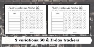 30-Day No Alcohol Habit Tracker - Digital Hygge
