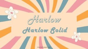 Best Groovy Fonts on Canva in 2025