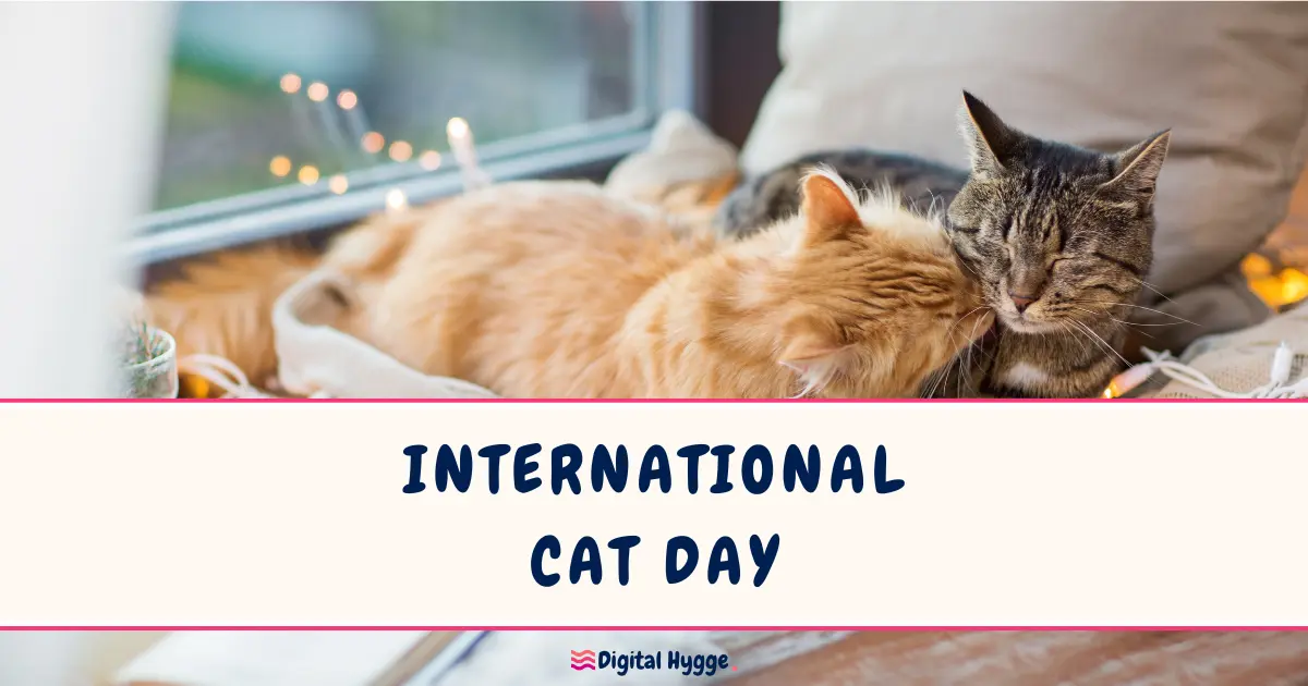 🐱 International Cat Day - Digital Hygge