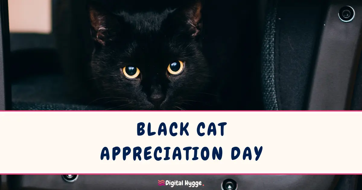 🐈‍⬛ Black Cat Appreciation Day - Digital Hygge