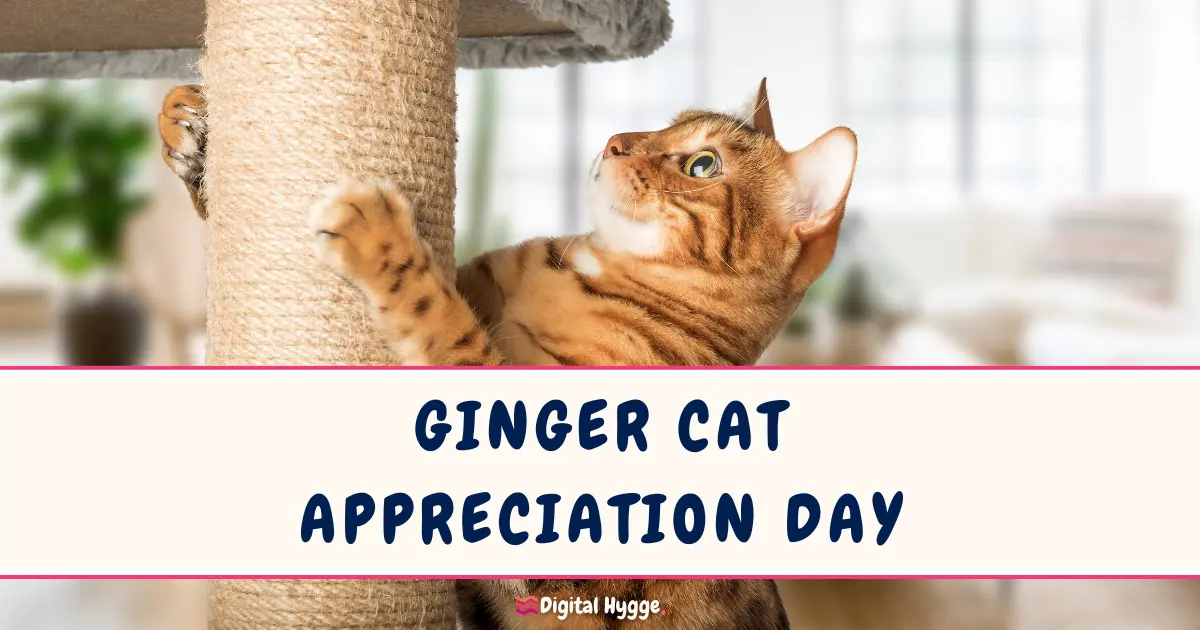 🐈 Ginger Cat Appreciation Day - Digital Hygge