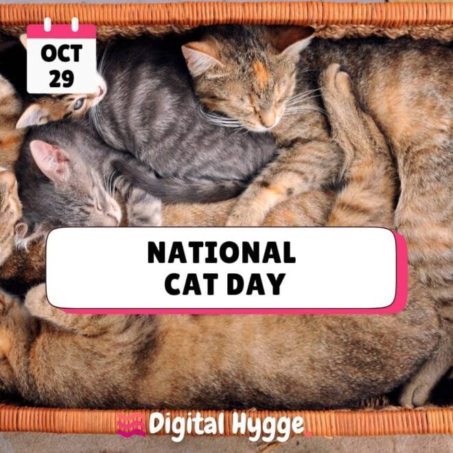🐱 National Cat Day - Digital Hygge