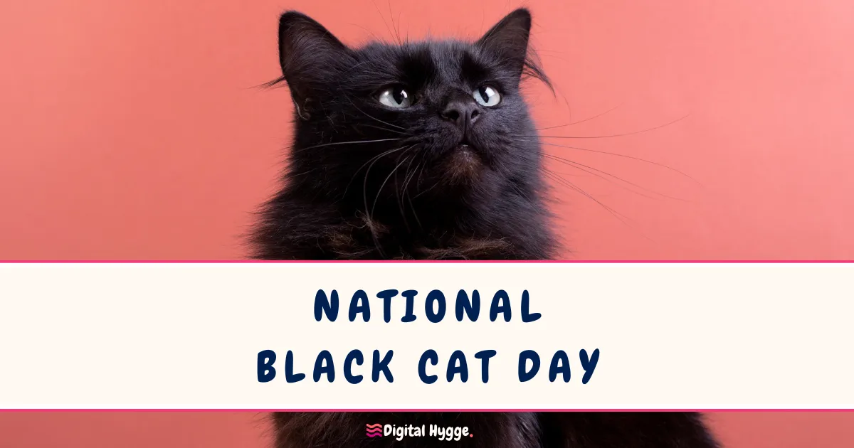 National Black Cat Day - Digital Hygge