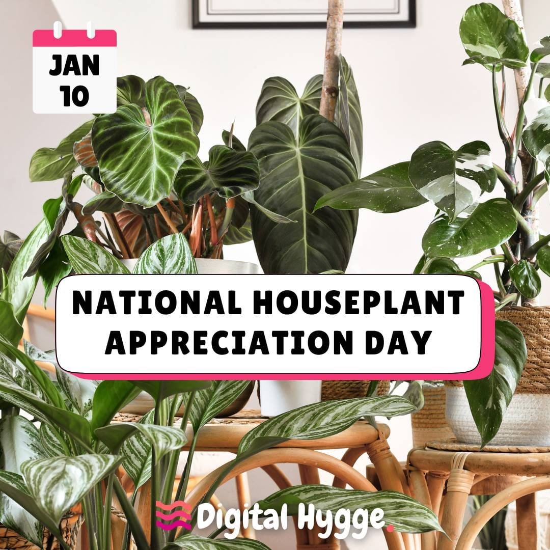 National Houseplant Appreciation Day - Digital Hygge