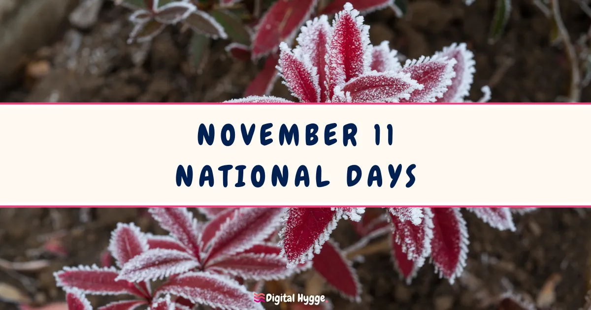 November 11 National Days - Digital Hygge
