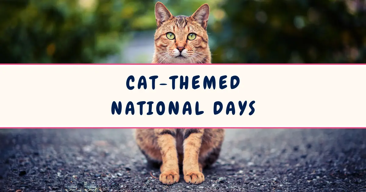 🐱 National Days for Cat Lovers