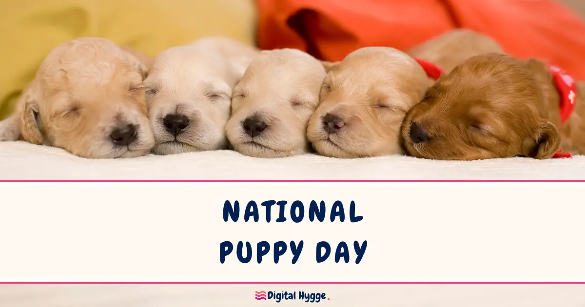 National Puppy Day - Digital Hygge