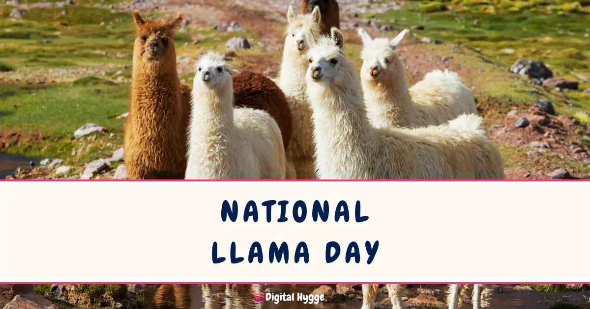 National Llama Day - Digital Hygge